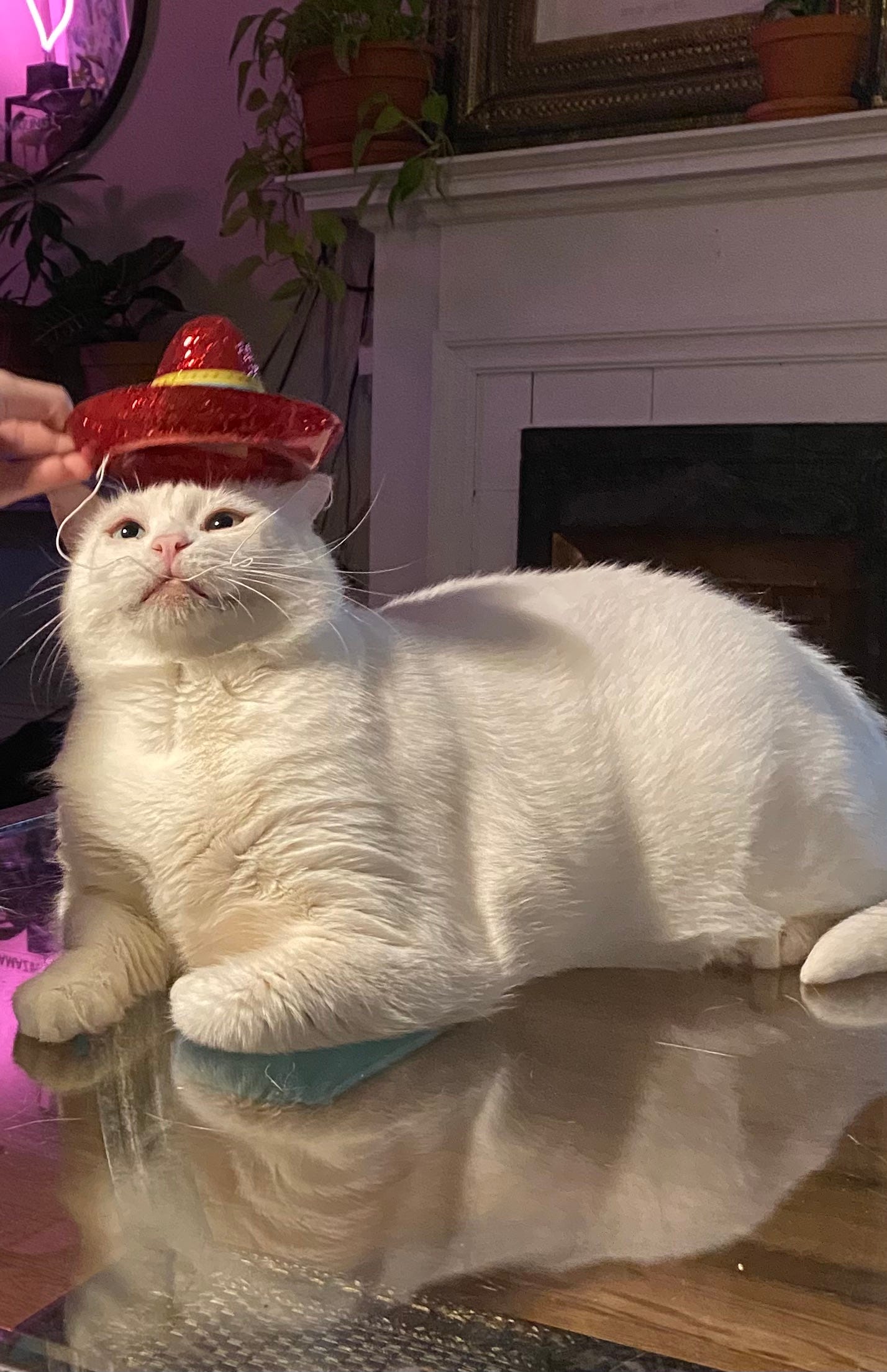 c.d. mudge | Substack