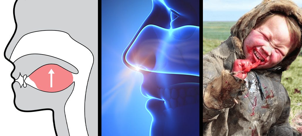 2.3 Mewing is More Than Just Tongue Posture - by Ronald Ead