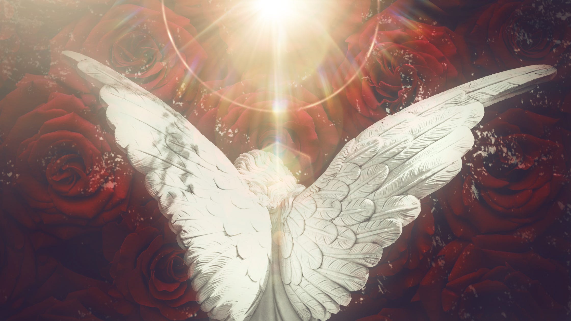 Sarah Poe | Substack