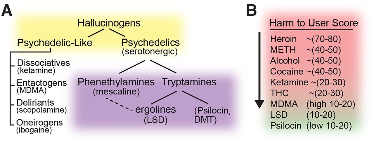 Psilocybin vs. Ketamine: Two Paths to Transformation
