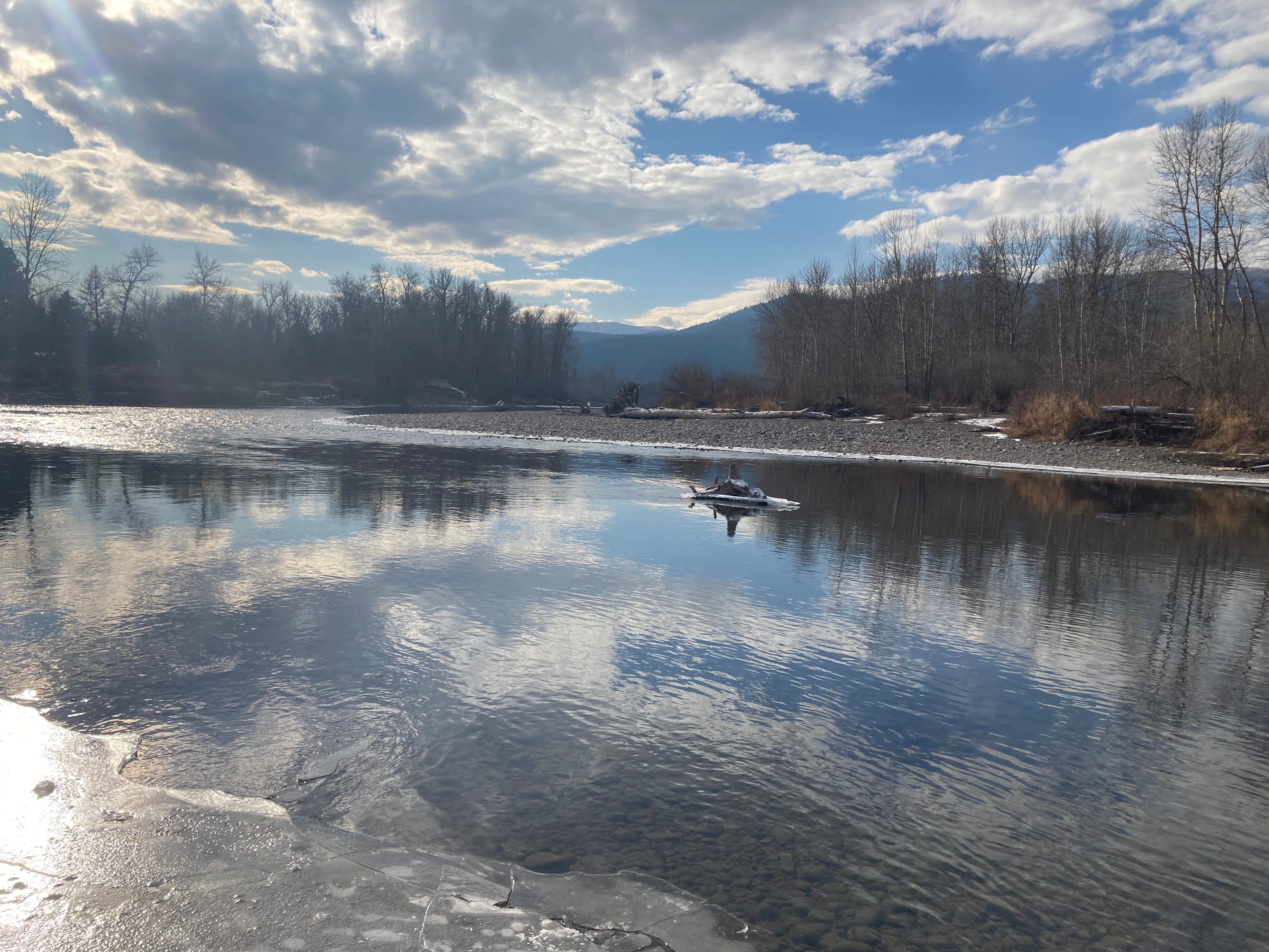 Slowing Down In A Too-Fast World - by Carol Anne Lesser