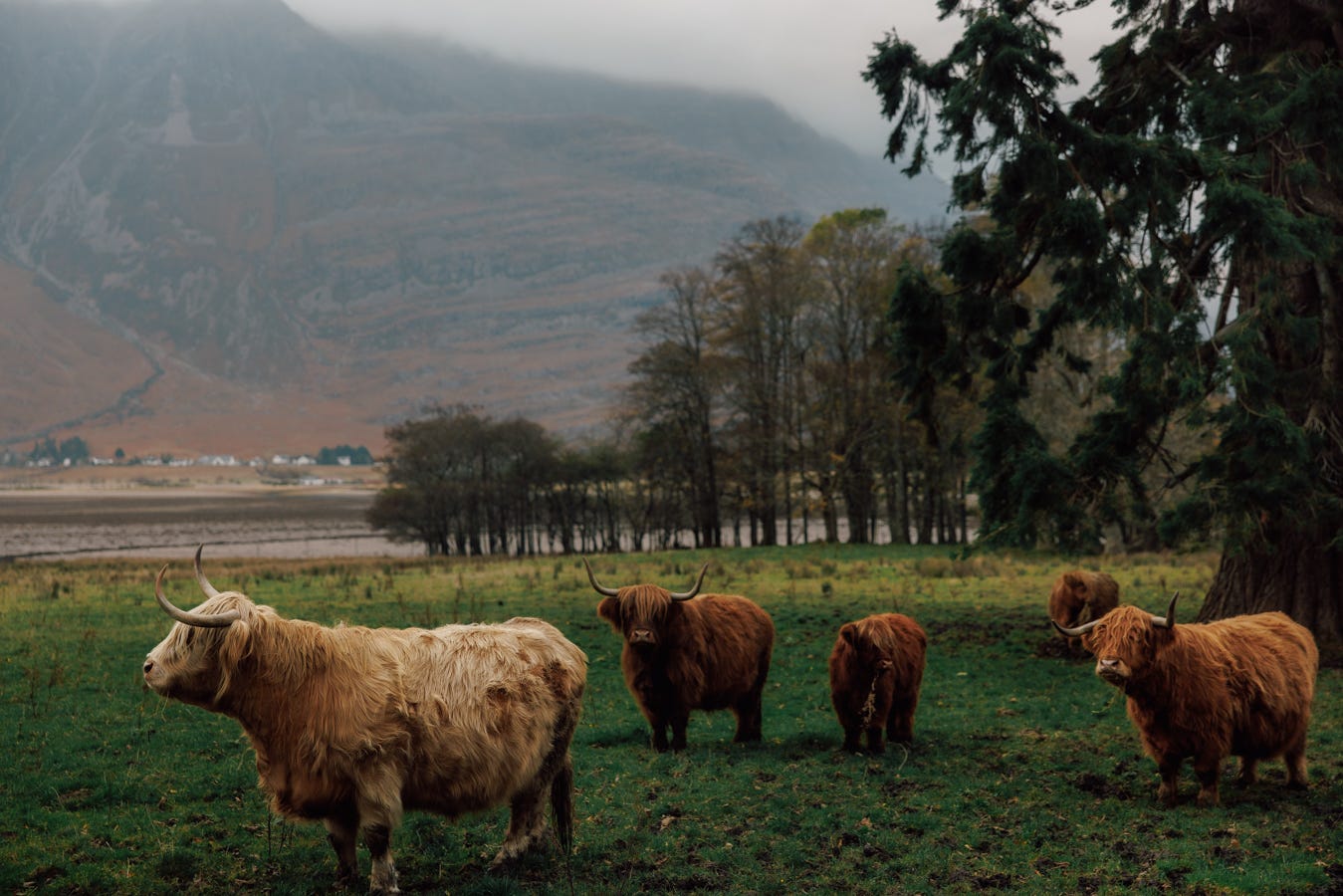 The WM Brown Tweed Rally Part 1 - by Jamie Ferguson