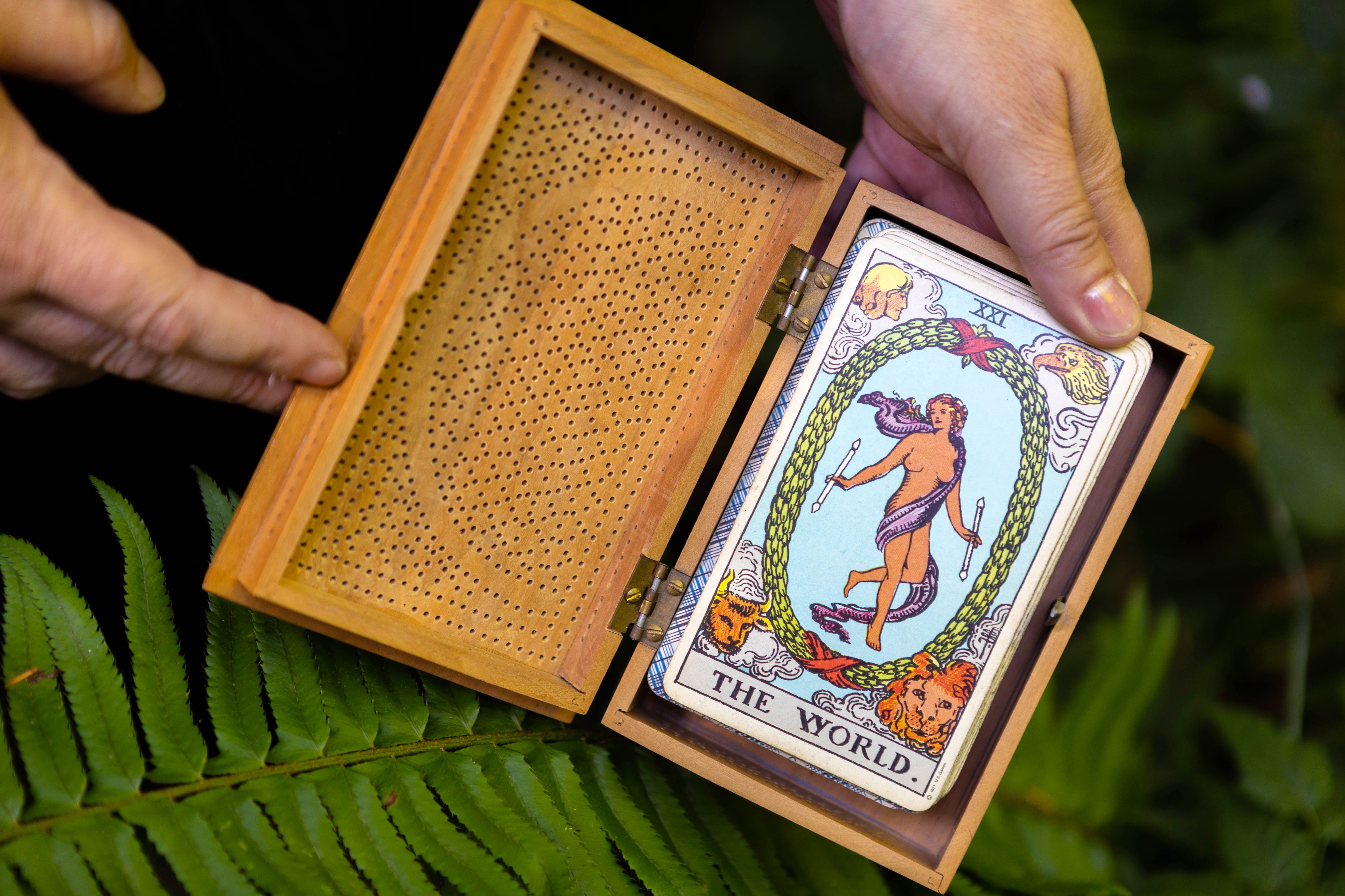 Hanna McElroy | Substack