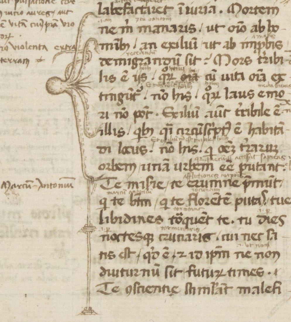 ReNoted: Marginalia, or 5 Ways to Write in Your Books