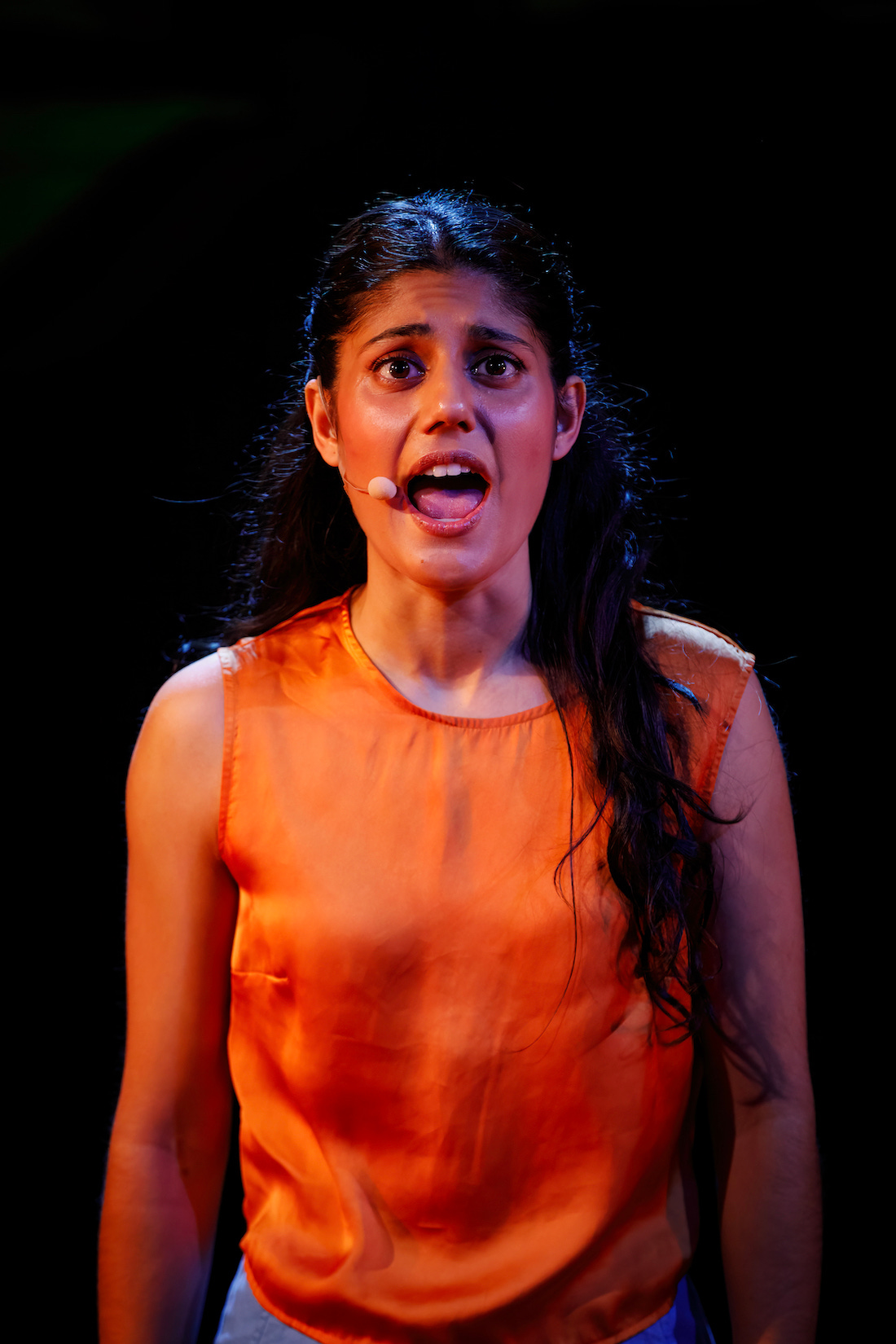 Vidya Makan on her Lucky Country - by Nance Haxton