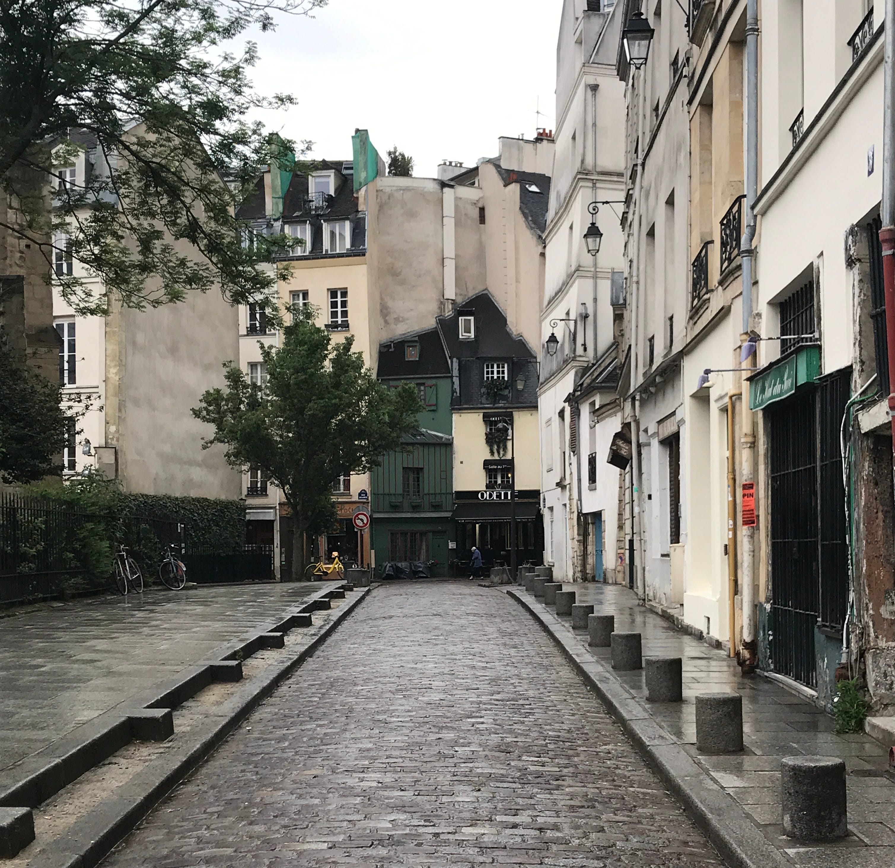 Creature Comforts - by Maria Del Russo - Sunday Sauce