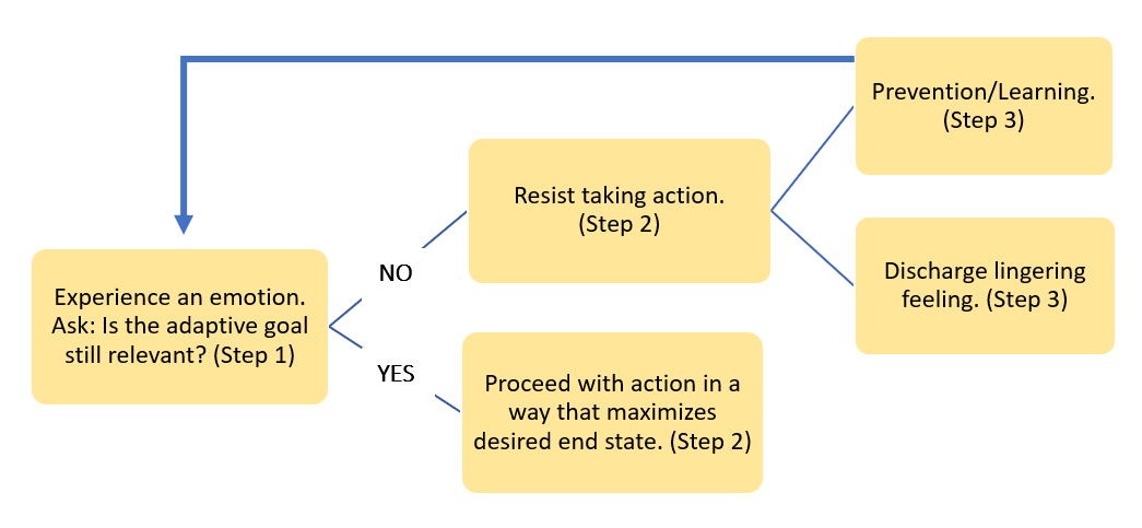 What To Do With Emotions - Part I - by Josh and Rob Kurzban