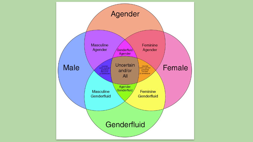 The Green Guard: In the Burlington Vermont schools, the kids groom the ...