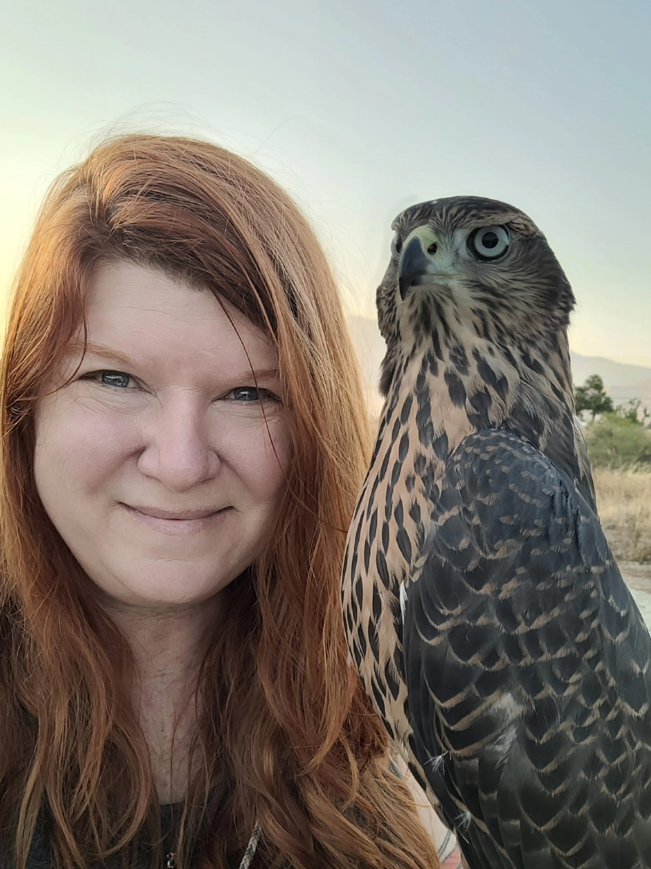 Rebecca K. O'Connor | Substack