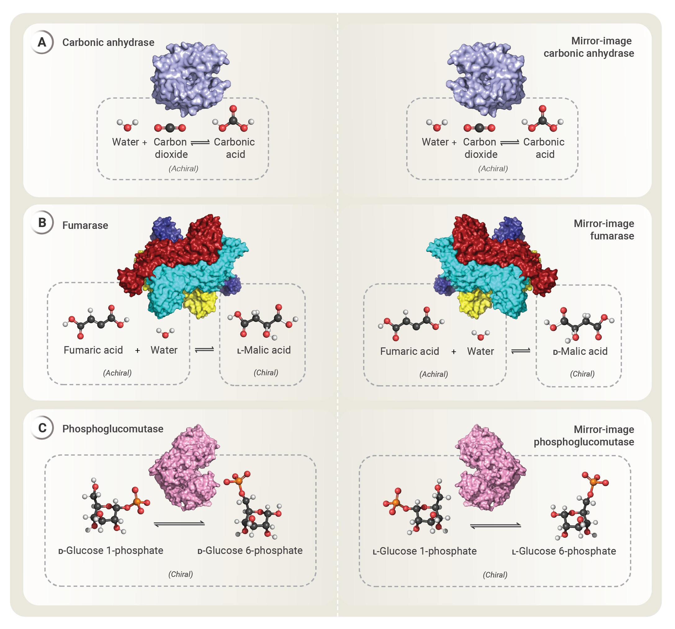 The Dangers of Mirrored Life