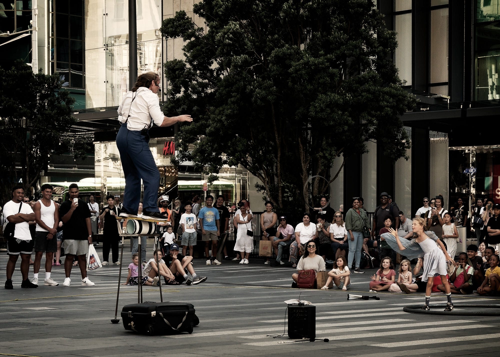 NZ Visual Diary - entry 250 - by Rich Greissman