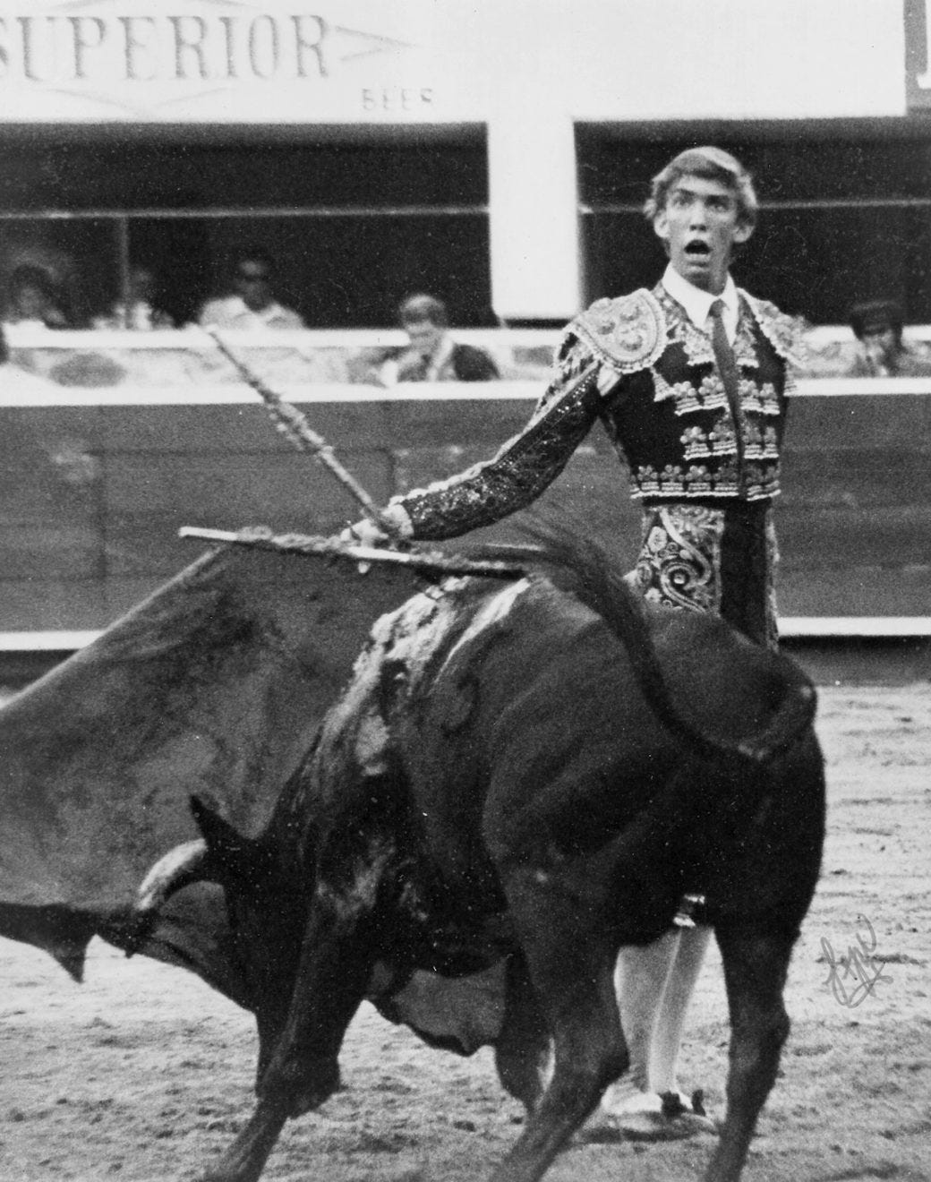 The First and Final King of Bloodless Bullfighting