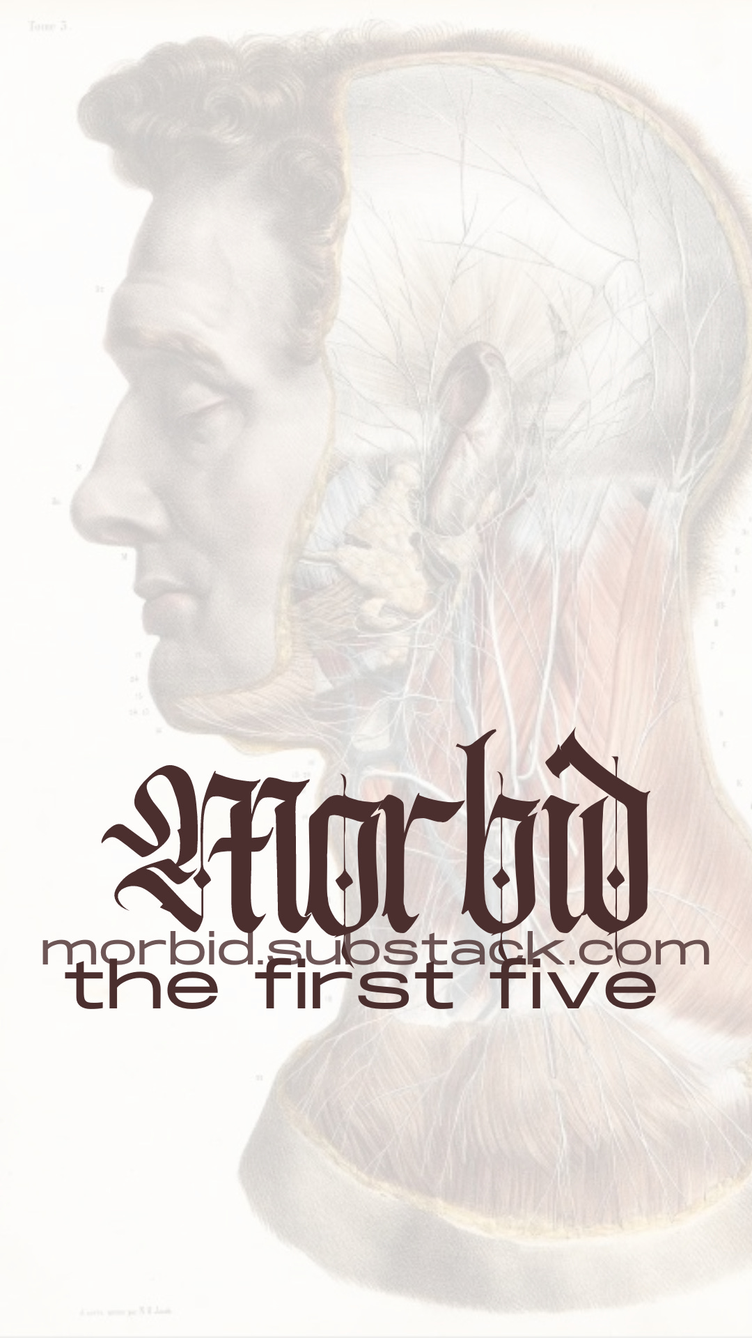 the morbs xi: the first five - by Tara McGowan-Ross