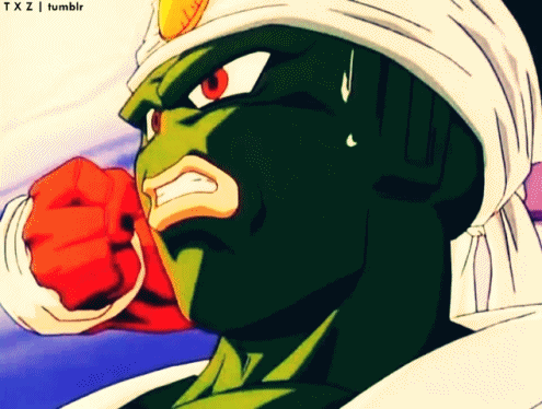 From DragonBall Z to DragonBall Super: Why Pikkon Should Make the Leap