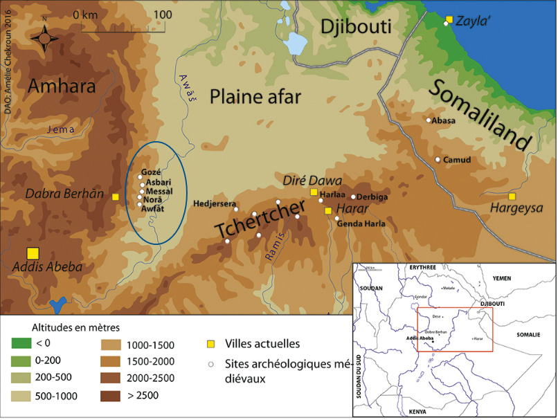 A muslim kingdom in the Ethiopian highlands: the history of Ifat and ...