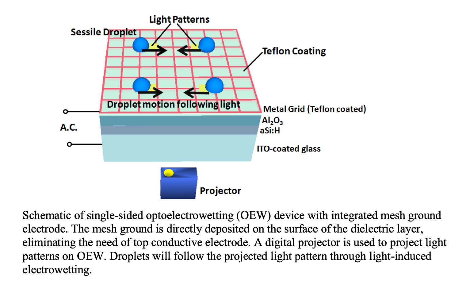 Lightcast Discovery Ltd - by Nava Whiteford