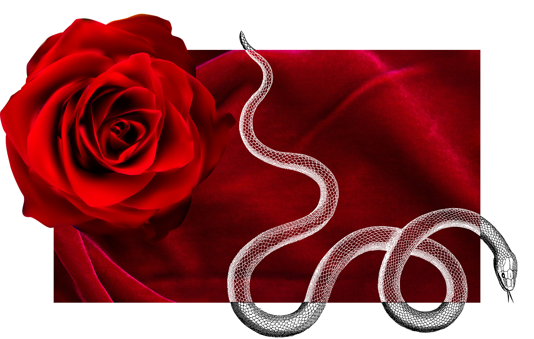 The Year Of The Snake - by Lina Dune - ask a sub