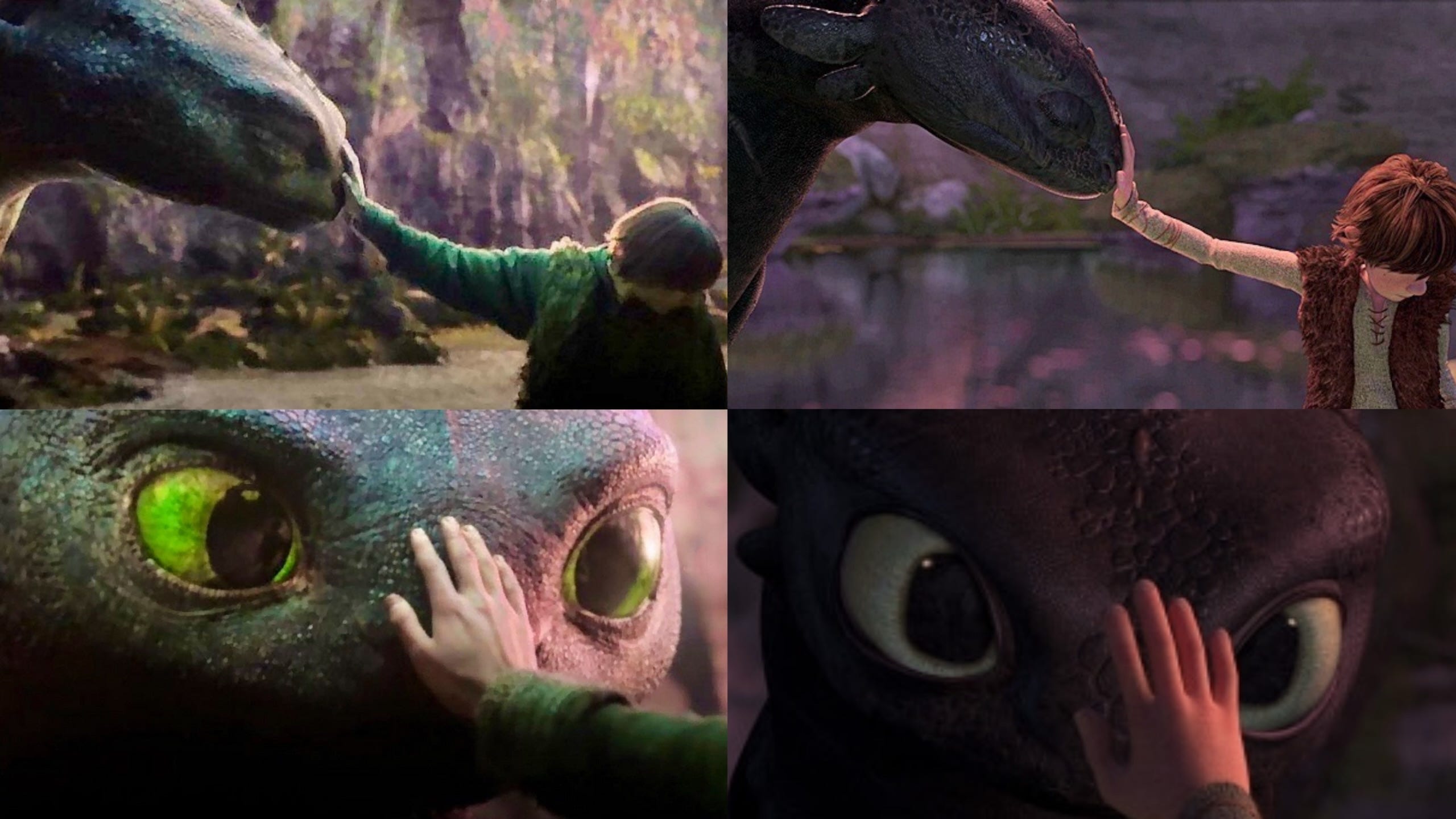 in memoriam of animation - by fran - ever present thoughts