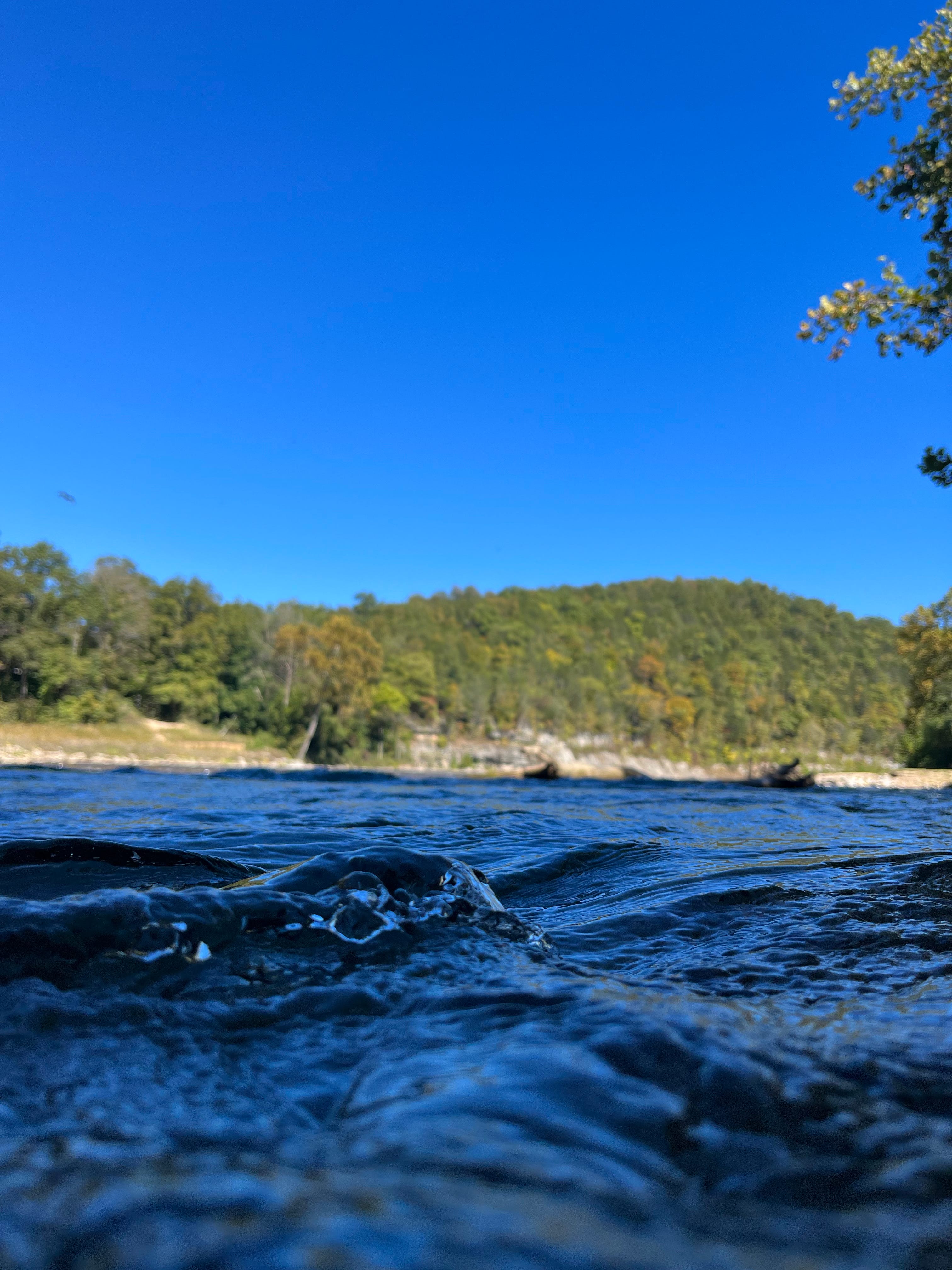 The Skipjack Review - by Skipjack Reveiw