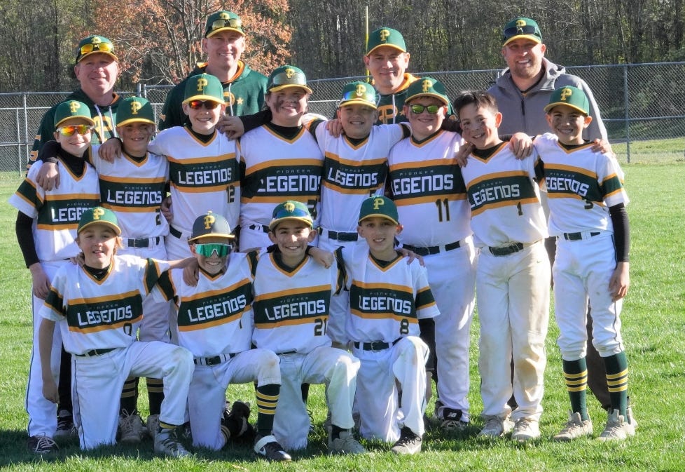 Baseball the Beautiful - Big Picture by Paul Taylor