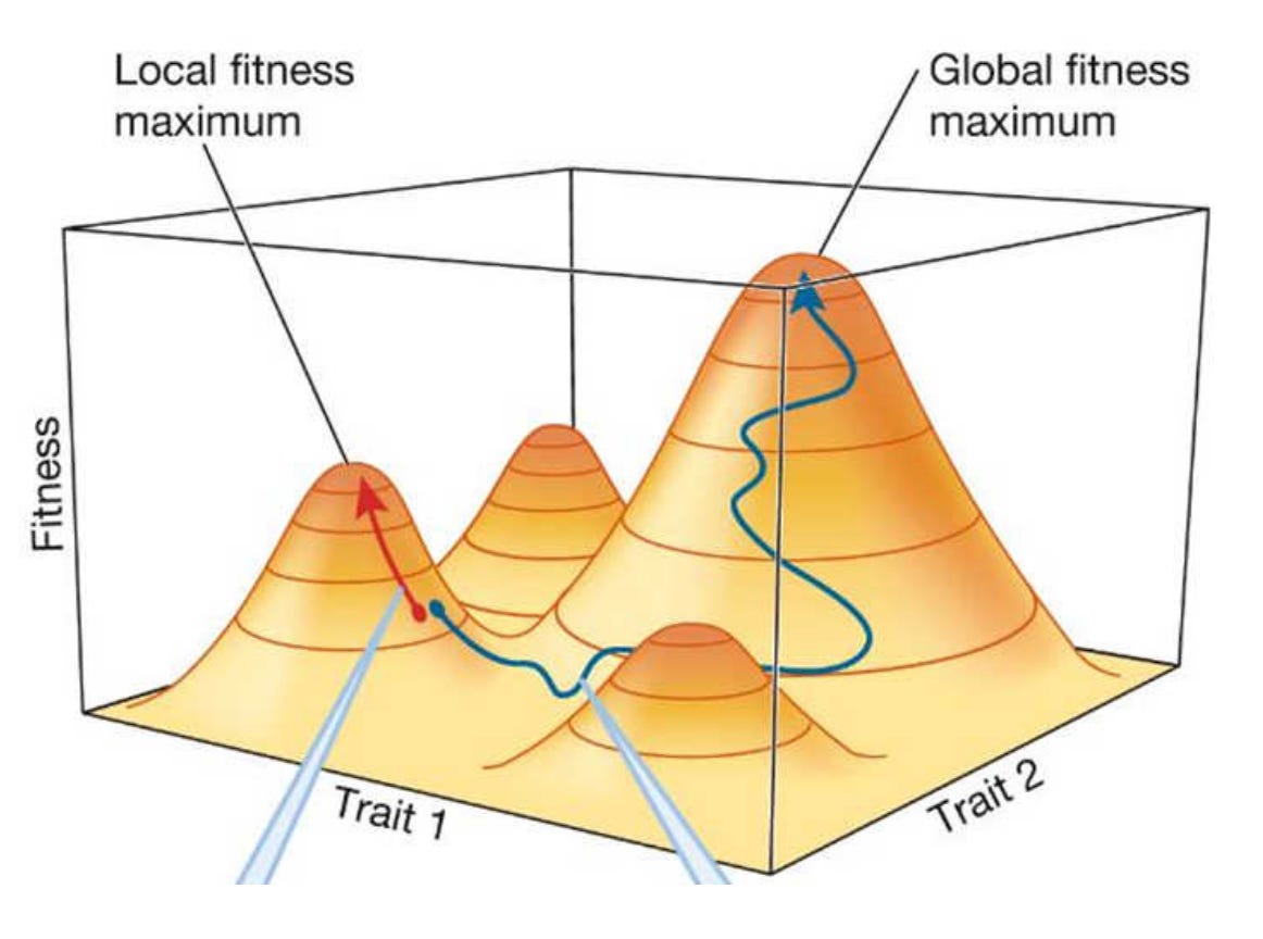 We were selected: tracing what humans were made for
