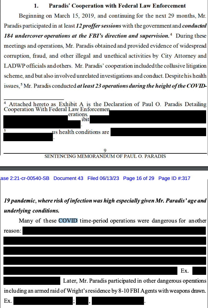 Paul Paradis gets 33 months in prison for LADWP scandal