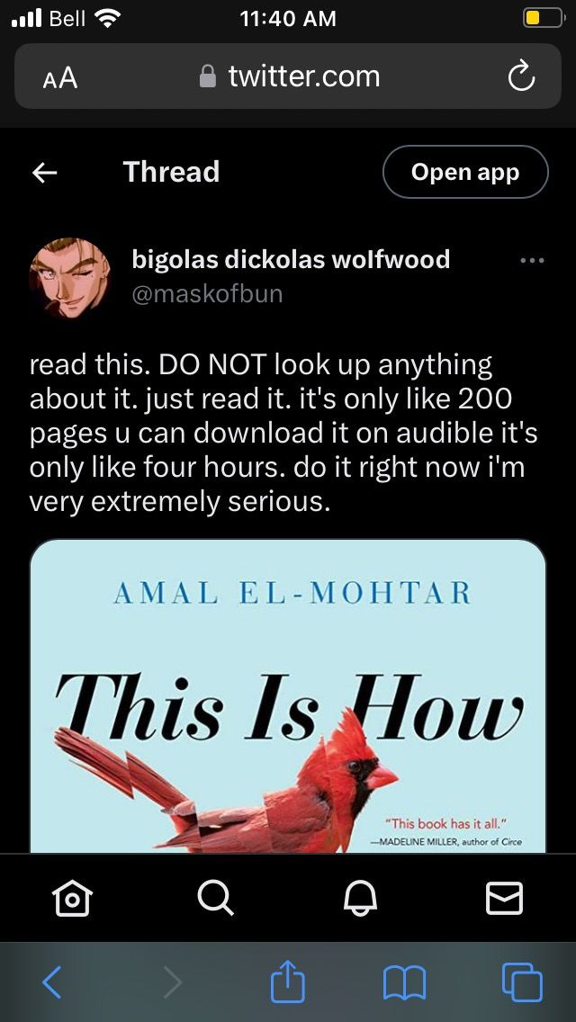 On Luck, Love, and a Viral Time-Travel Romance With Bigolas Dickolas