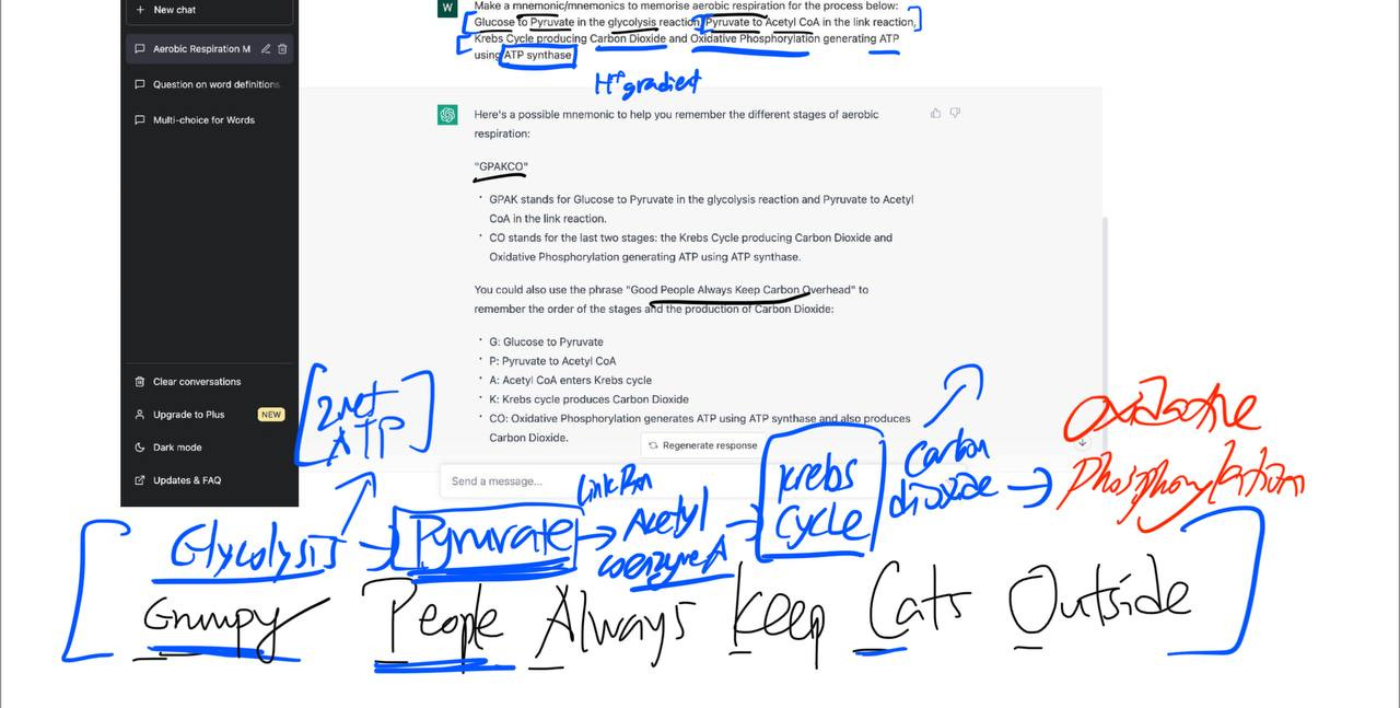 How to Remember Faster & Study Better with Mnemonics (using ChatGPT)