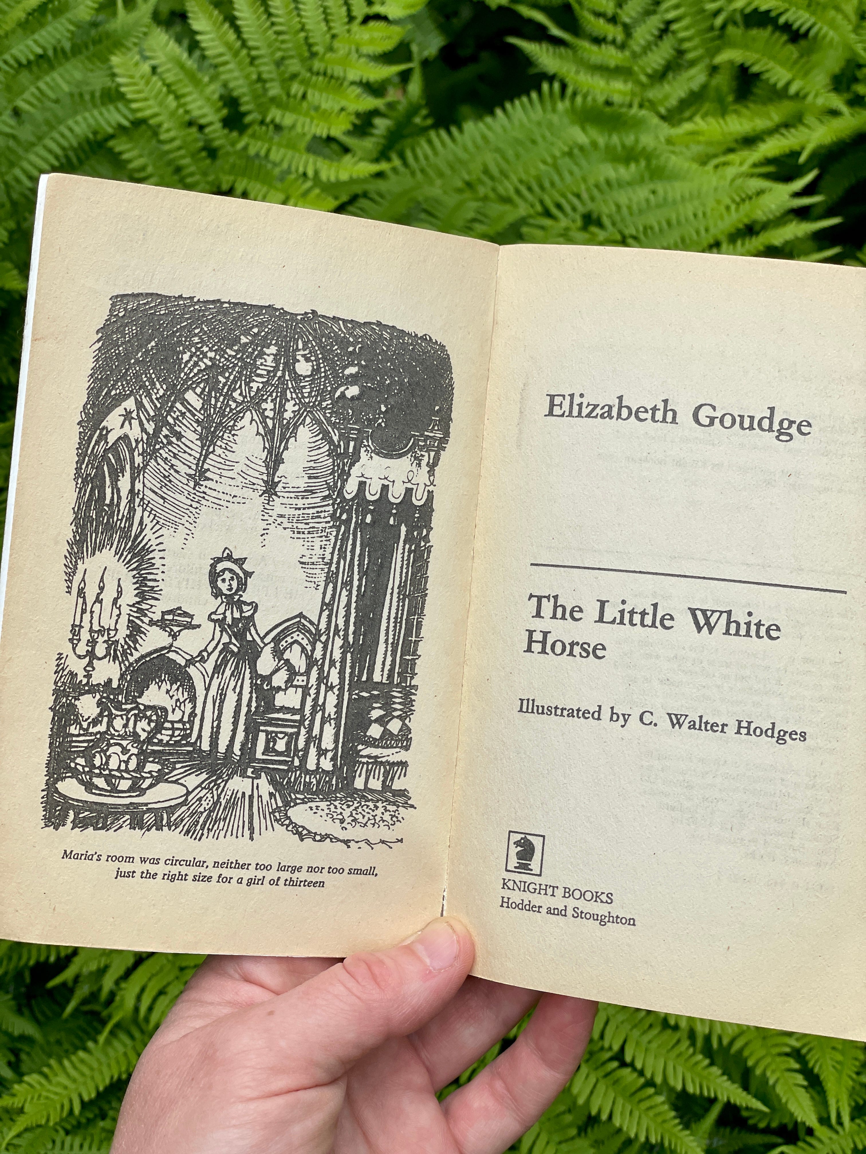 The Little White Horse: Week 2