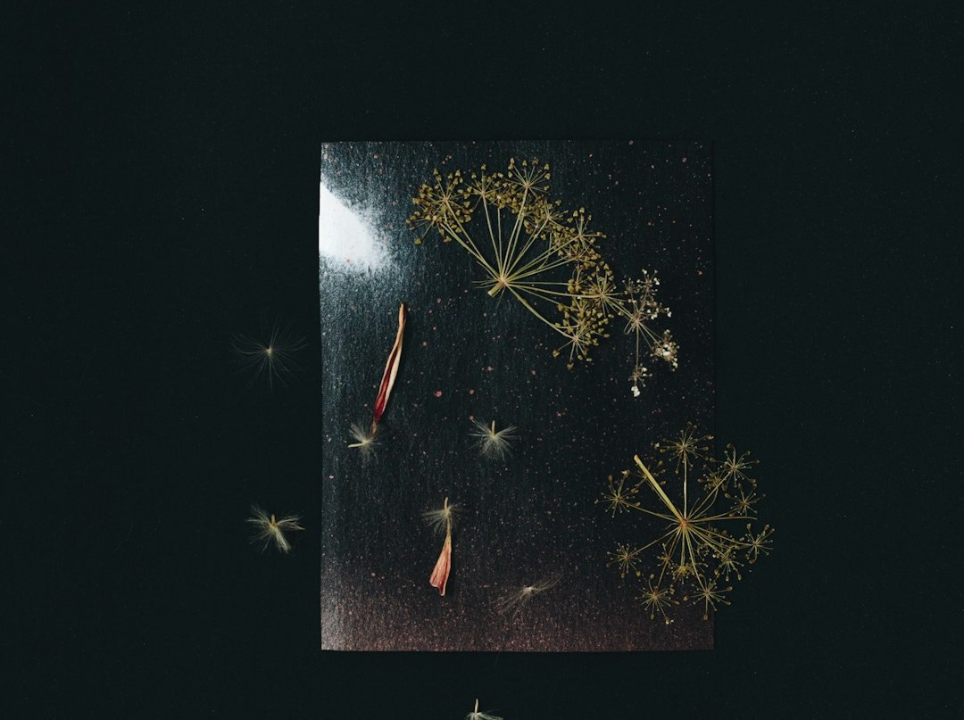 scentless - by Tina, Ginger Ghost Poetry