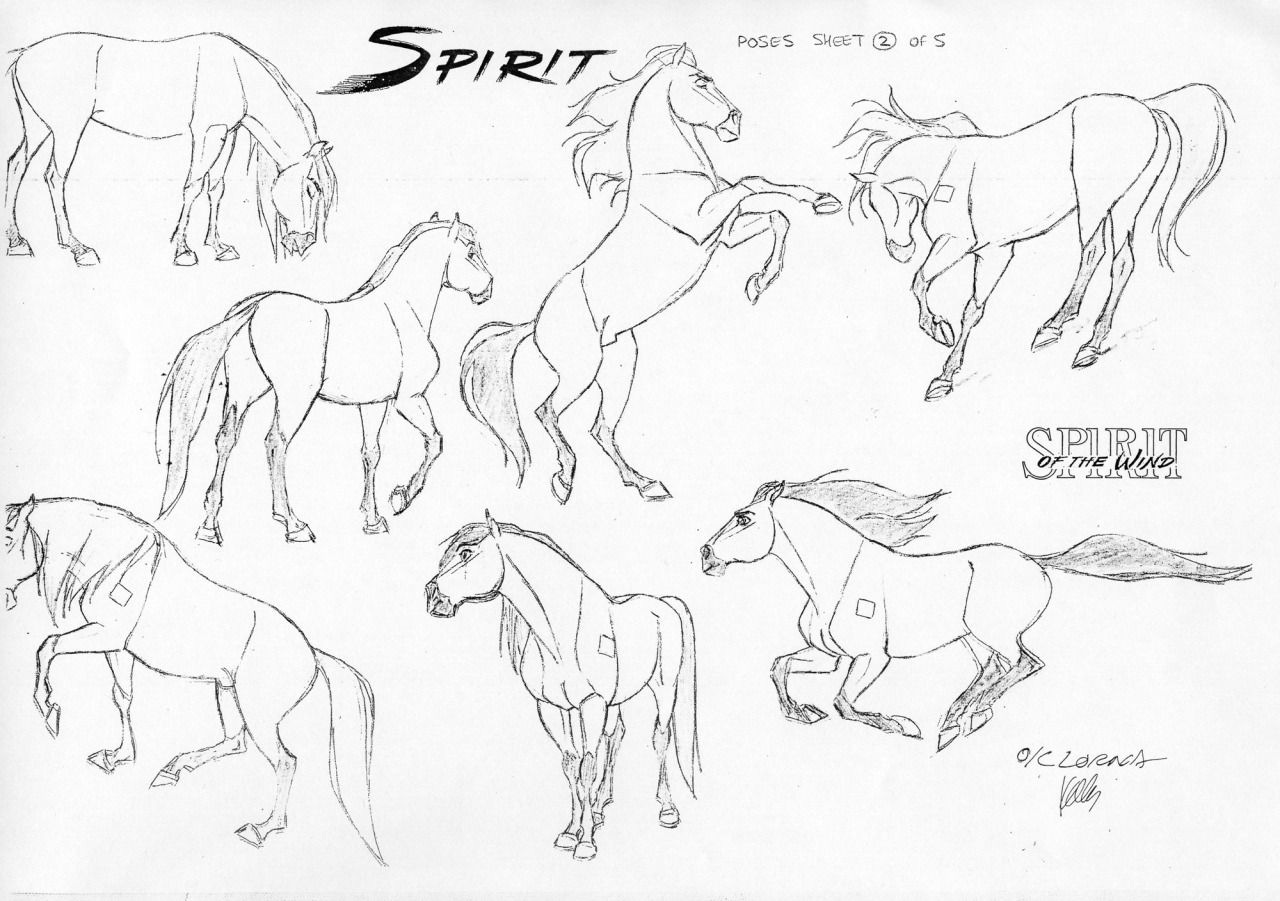 Drawing Horses: General Proportions - by Naomi - Art Nerds!