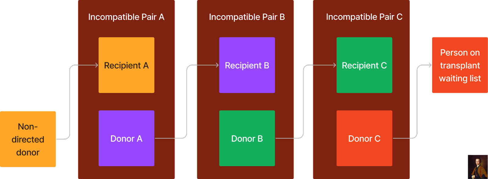 Organ Donation Law: Much More Than You Wanted to Know