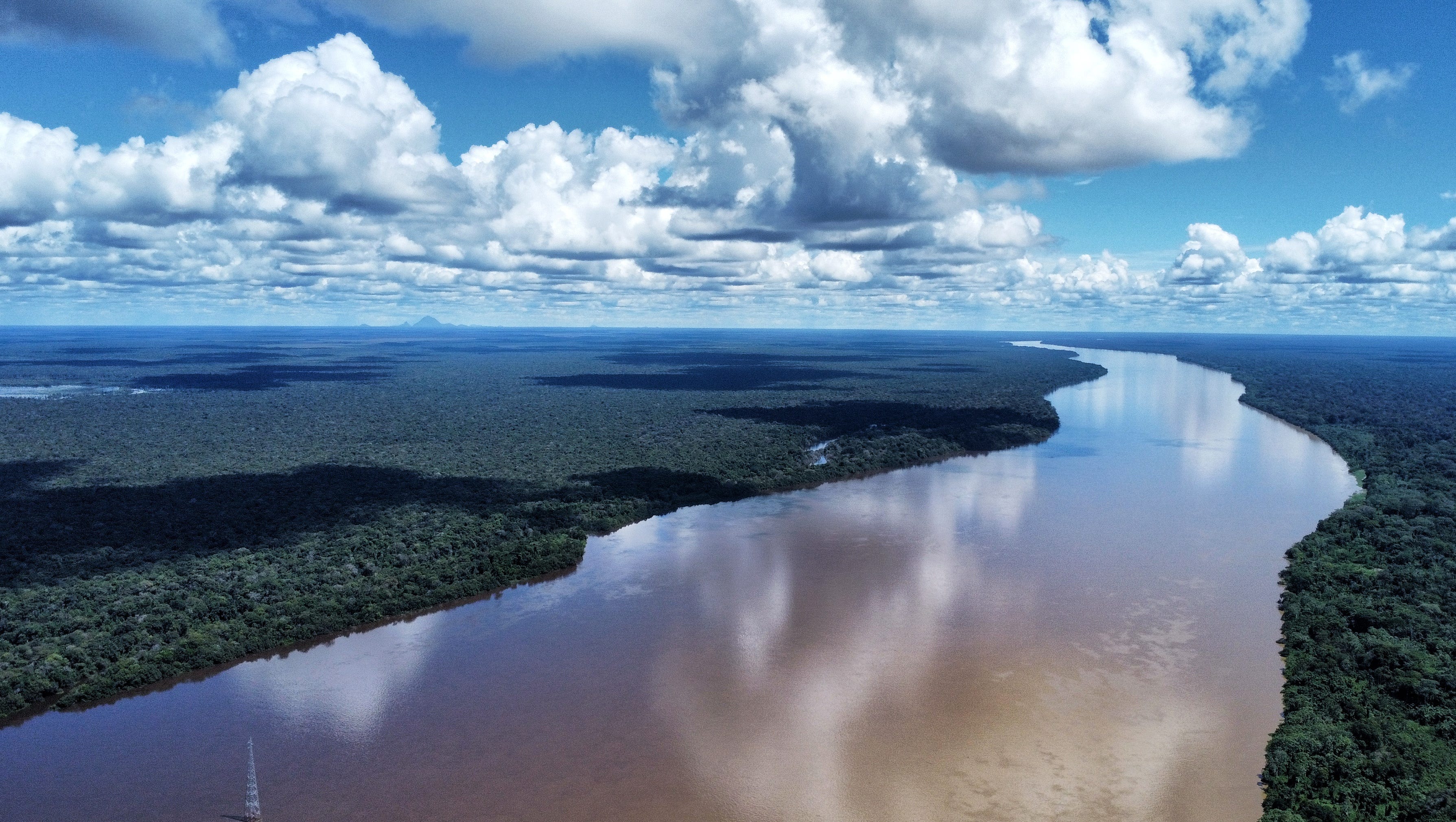 Estrella Fluvial del Inírida - by Óscar Iván Pérez H.