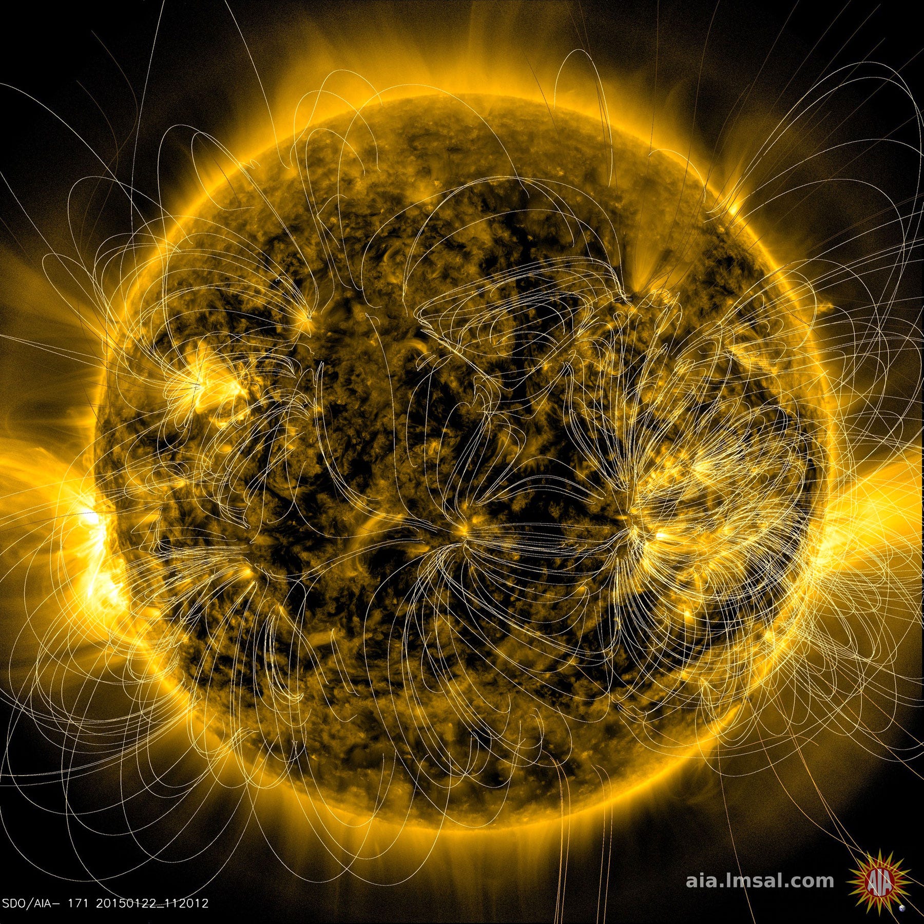 The Sun is Alive, and Why that Matters