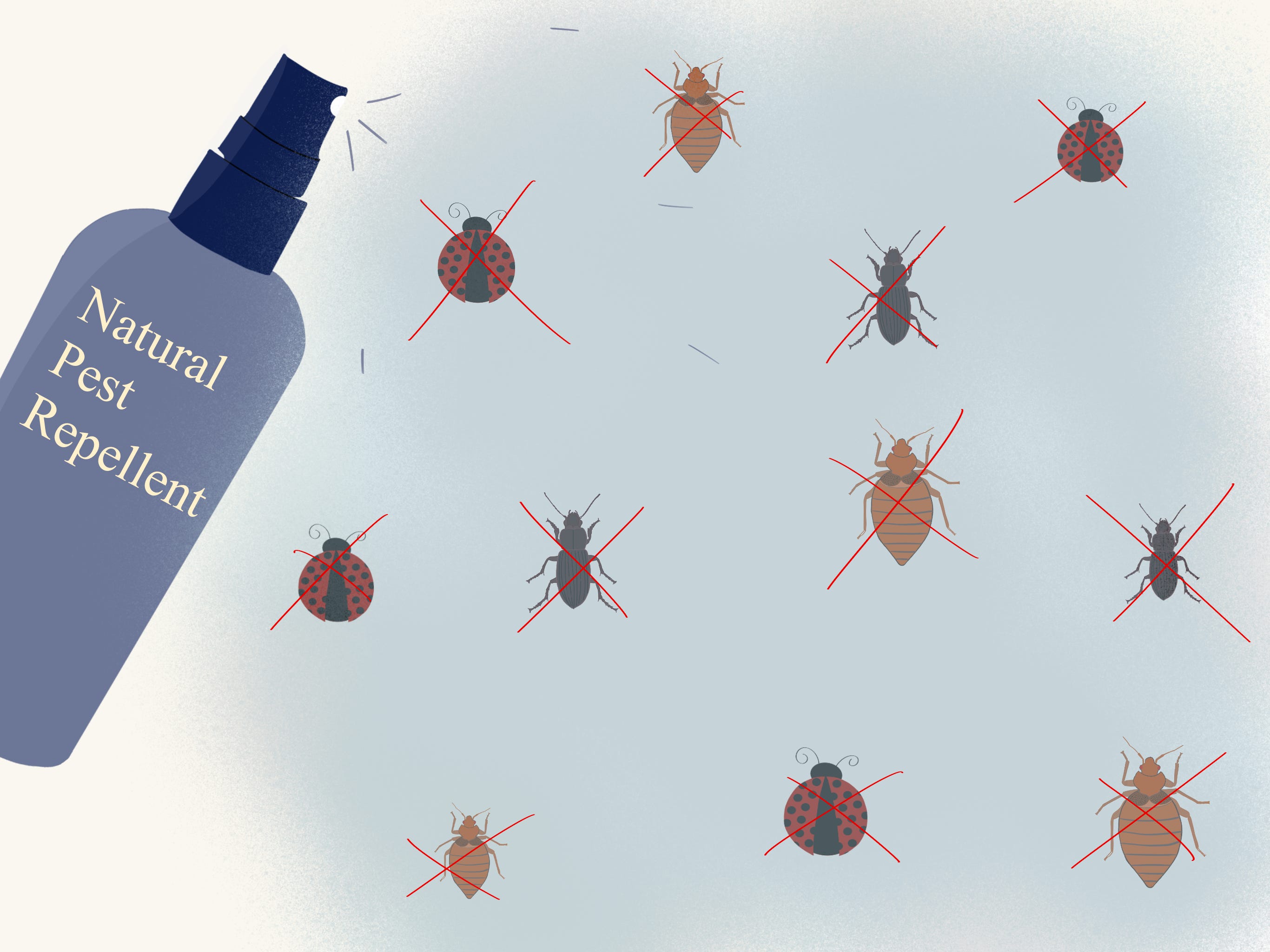 Keep Your New Place Bug-Free with Peppermint and Vinegar
