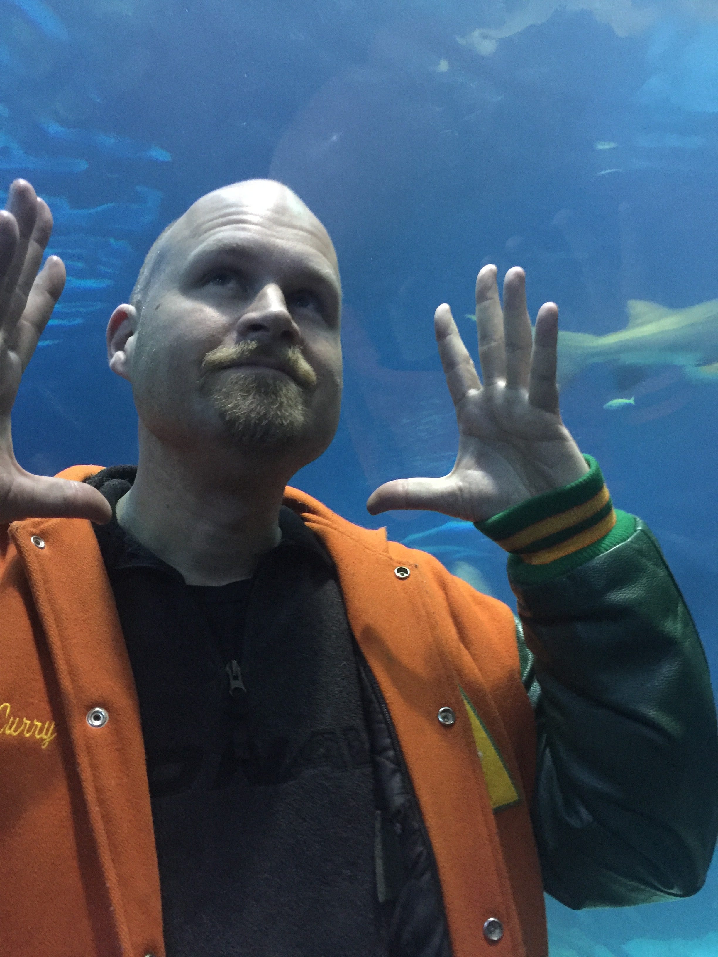 Interview with Rob Kelly of Pod Dylan - by Dr. Jim Salvucci