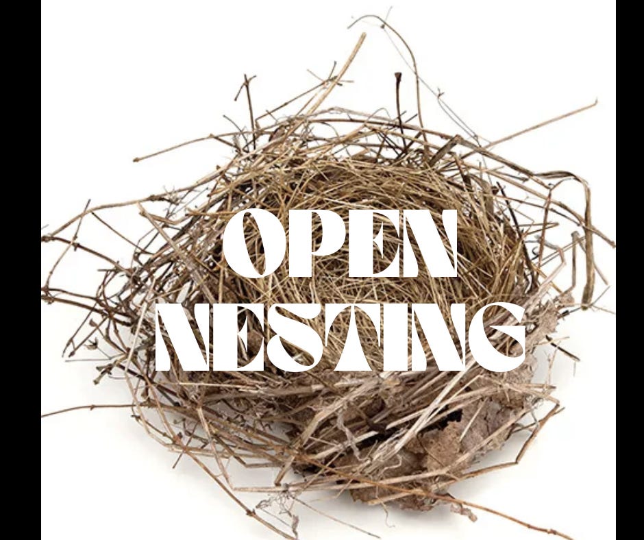 Open Nesting - elke's newsletter