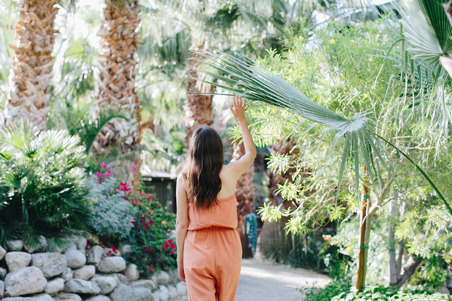 We can't go over it, we can't go under it - by Ashley Neese