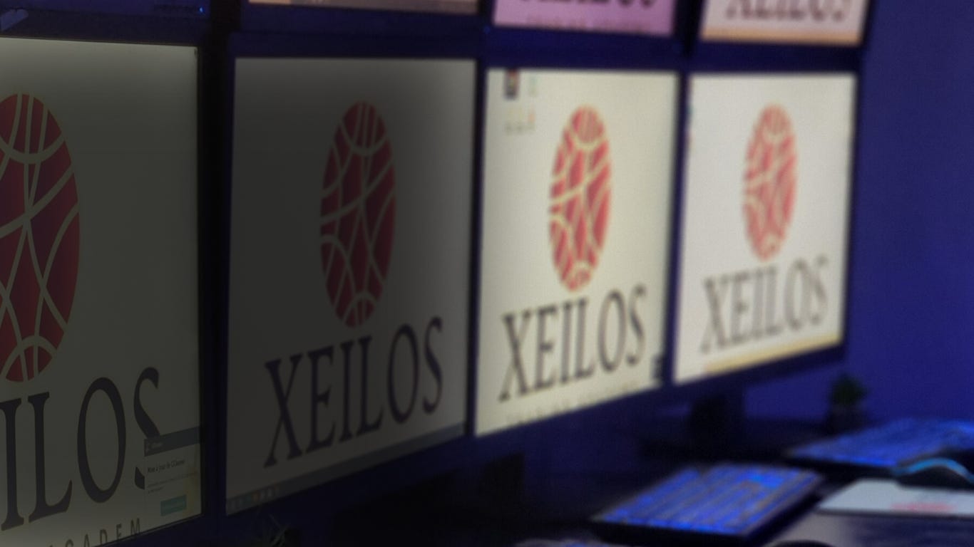 Qu'est-ce que Xeilos Trading Academy propose?