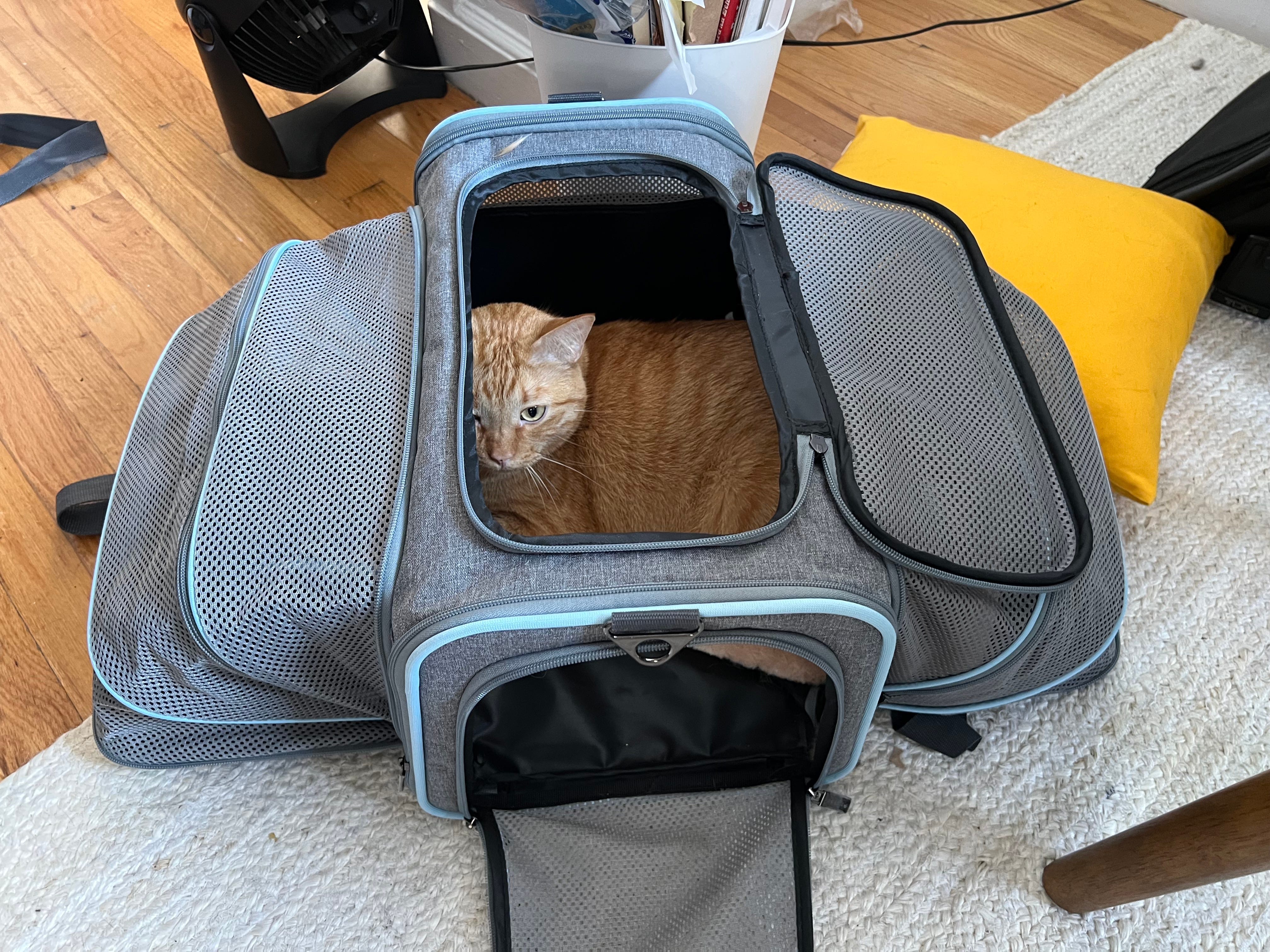 On Leaving New York - by Garth Greenwell