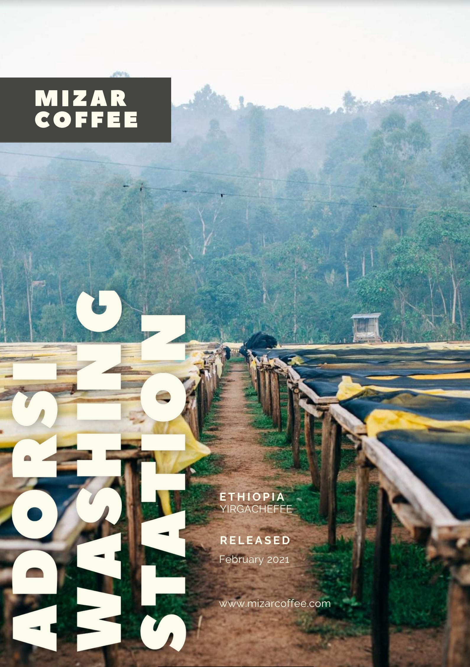 Roast #17: Coffee Club V3...........? - by Brian