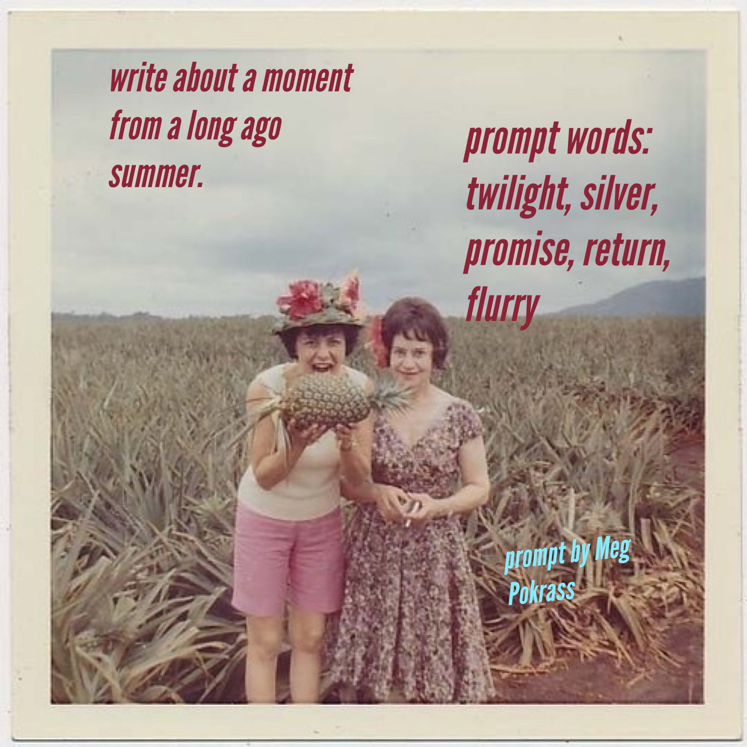 Capturing a Fictional Reality - by Meg Pokrass