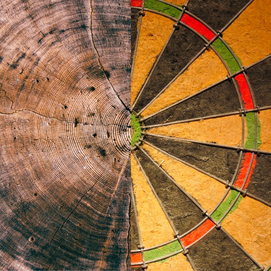 Dart Boards and Tree Rings: Which one resonates with you right now?