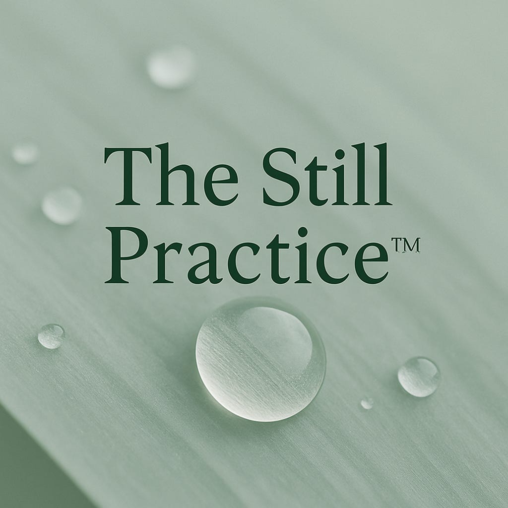 The Still Practice | Substack