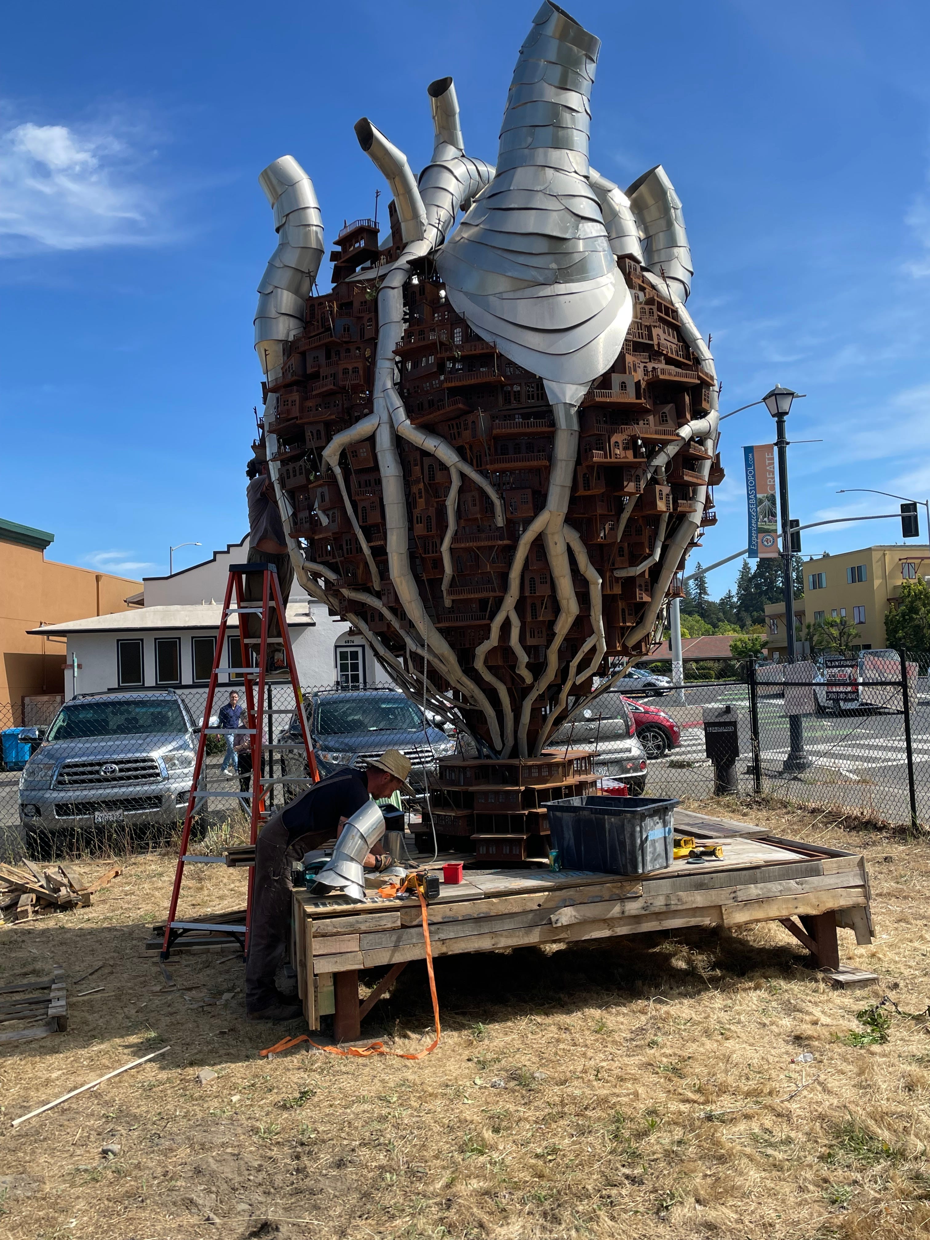 'Belonging' comes to downtown Sebastopol