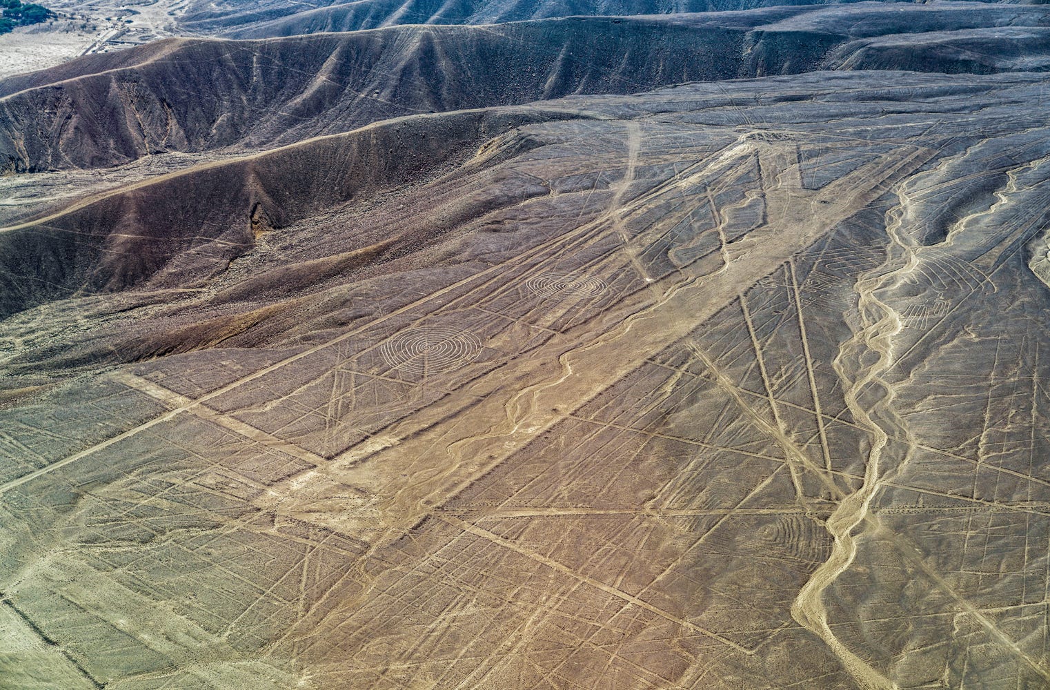 Runways and Flying Fish: Did the Nazca Culture Take Flight?