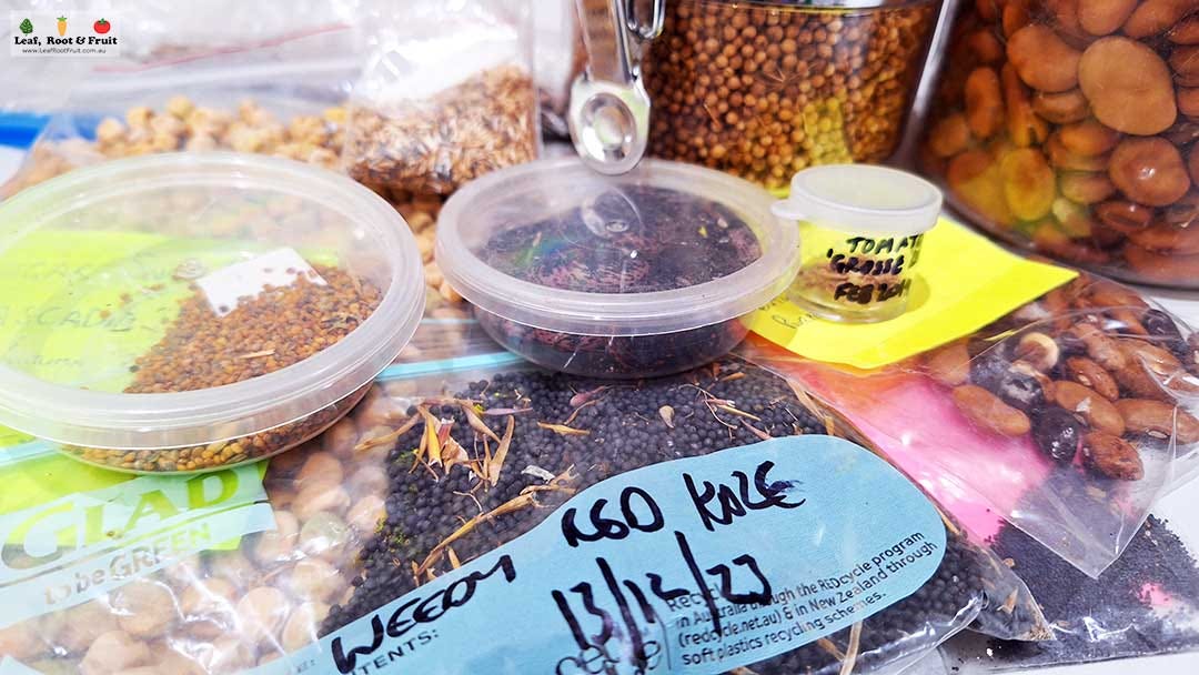 How to Test the Germination Rate of Your Saved Seeds and Store Them