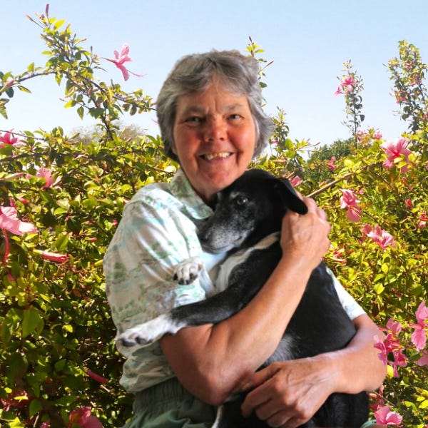 Val Archer | Substack