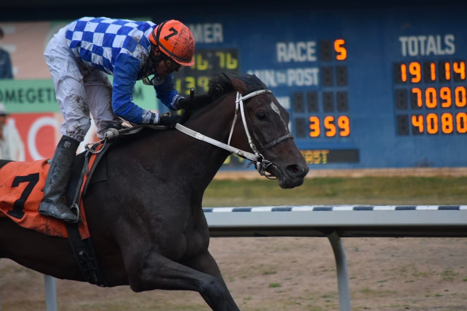 The Countdown Begins - by Nigel Reid - Horseracing BC