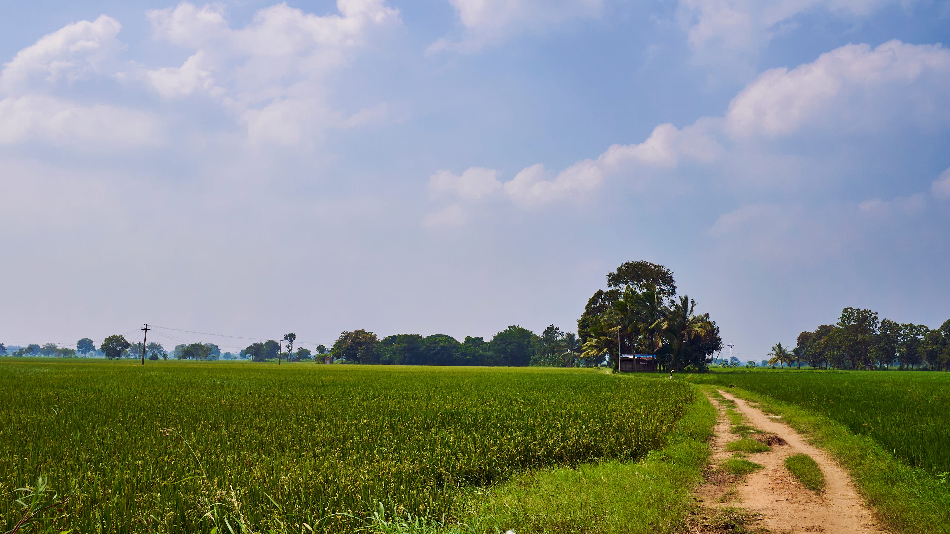 Exploring the Rich Heritage of Koneri Rajapuram and Pazhayårai Temples